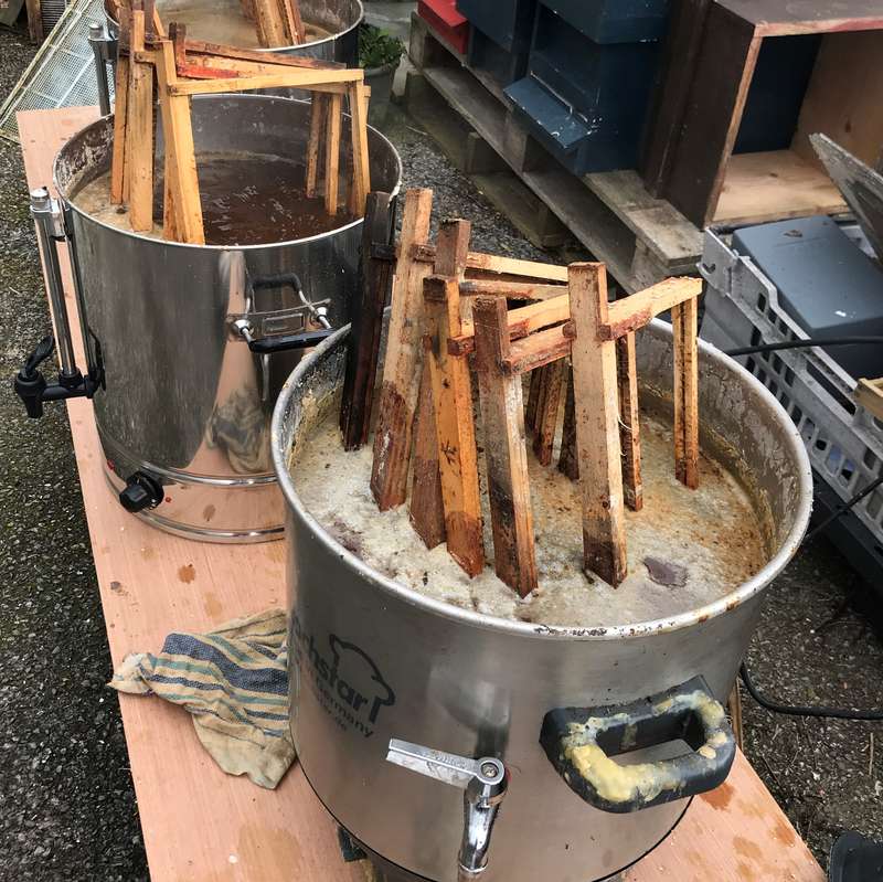 How to Render Beeswax - Hanna's Bees